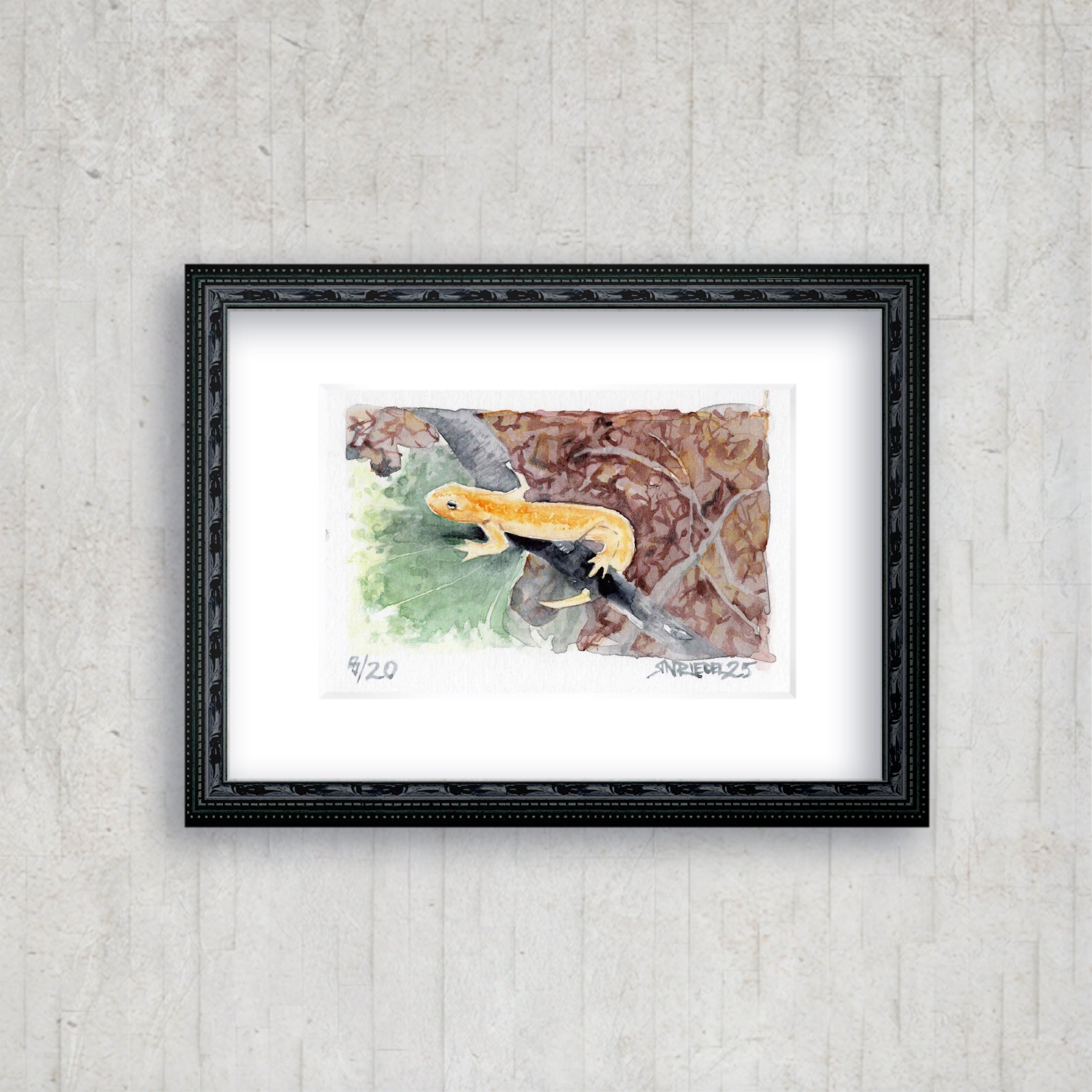 "Trail Newt" - Artist's Original Watercolor | Appalachian Trail Thru H ...