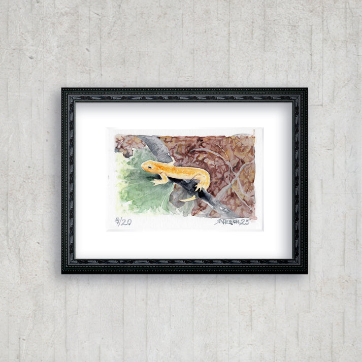 "Trail Newt" - Artist's Original Watercolor | Appalachian Trail Thru H ...